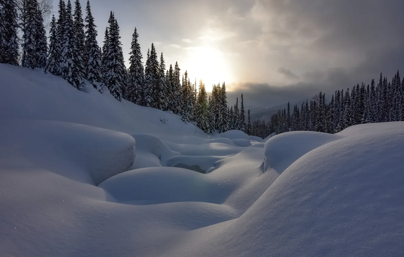 Wallpaper winter, forest, snow, ate, the snow, Russia, Khakassia ...