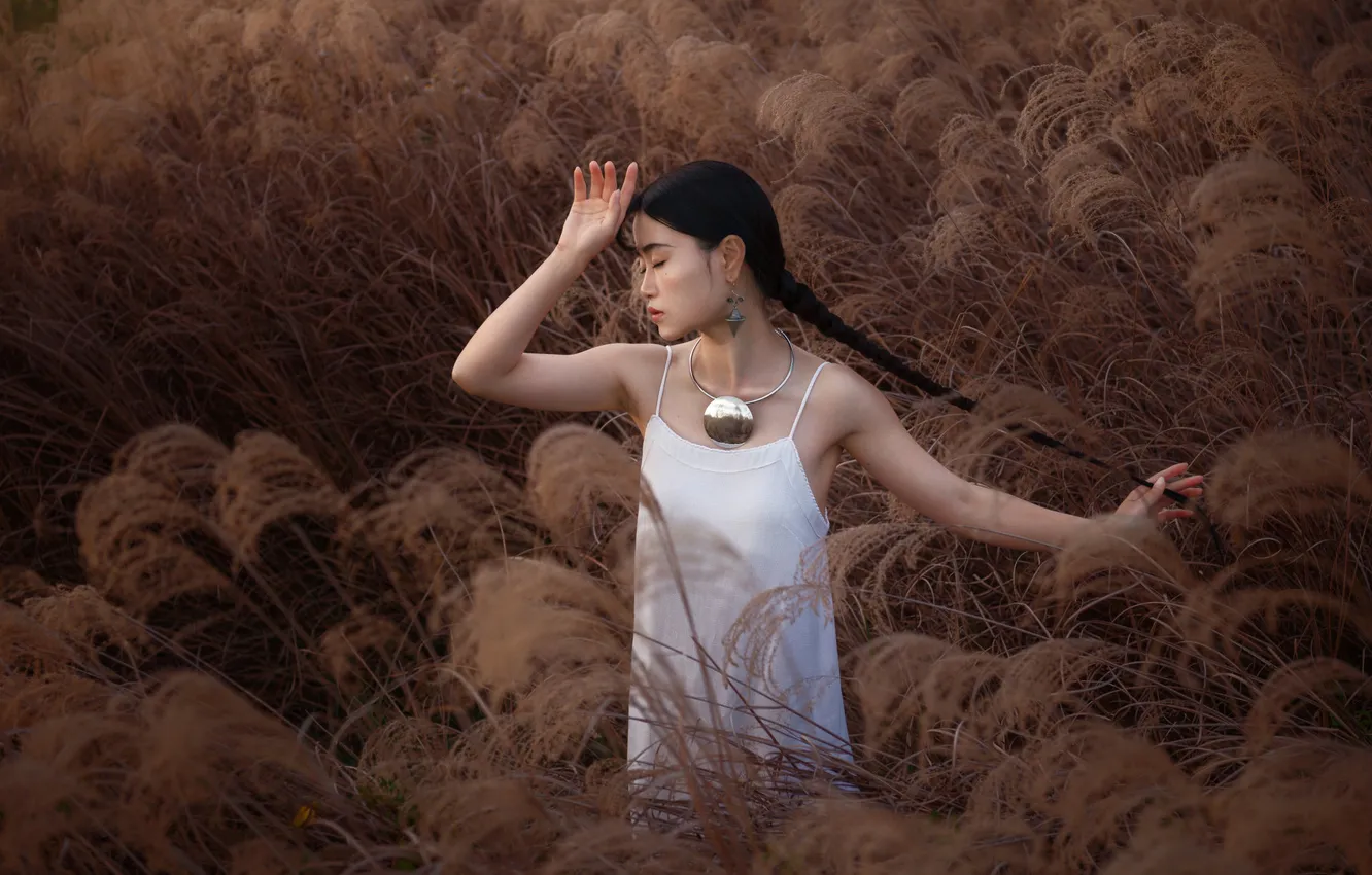 Wallpaper girl, nature, pose, hands, brunette, spikelets, braid ...