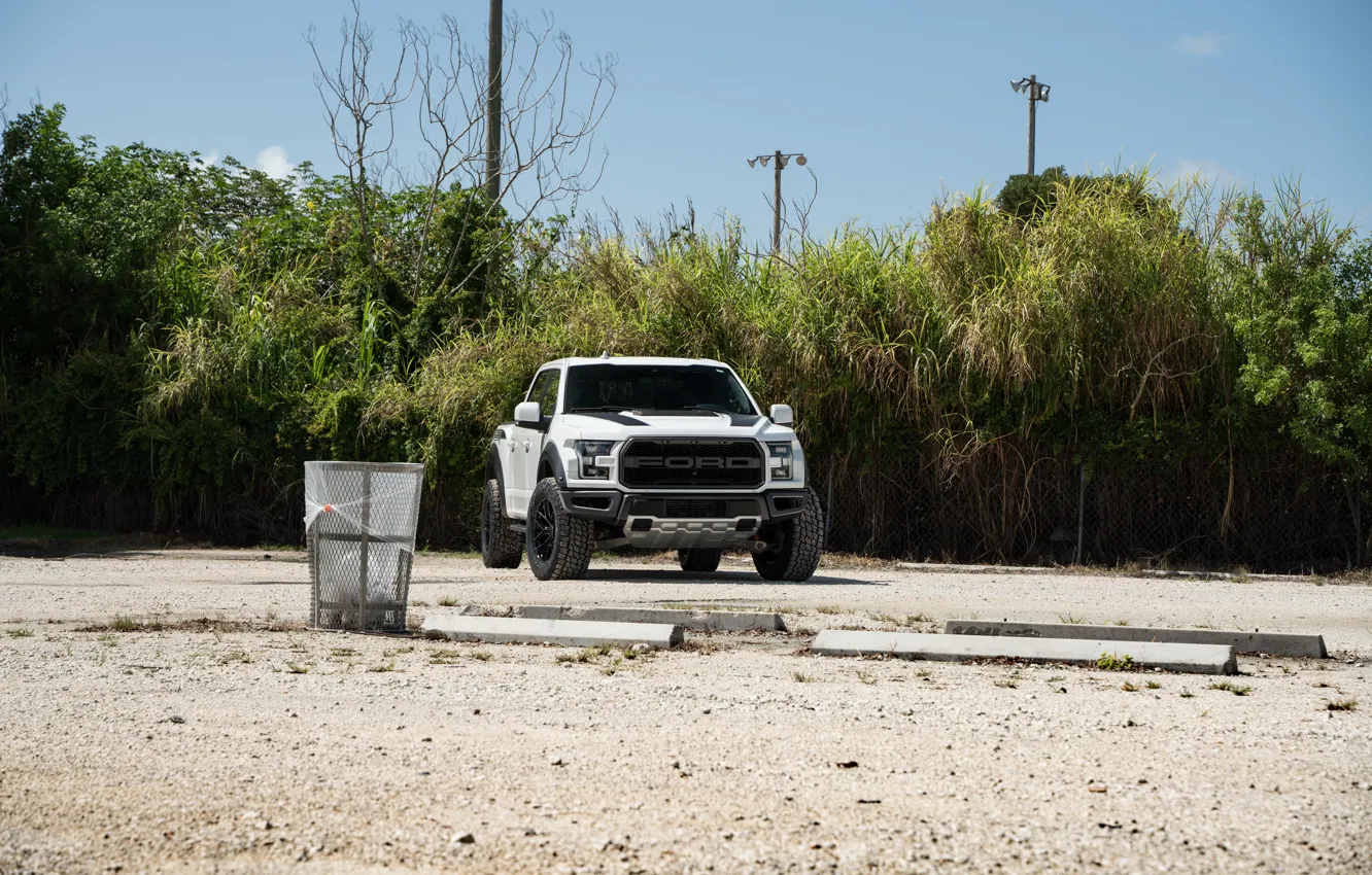 Wallpaper Raptor, White, F-150 for mobile and desktop, section ford ...