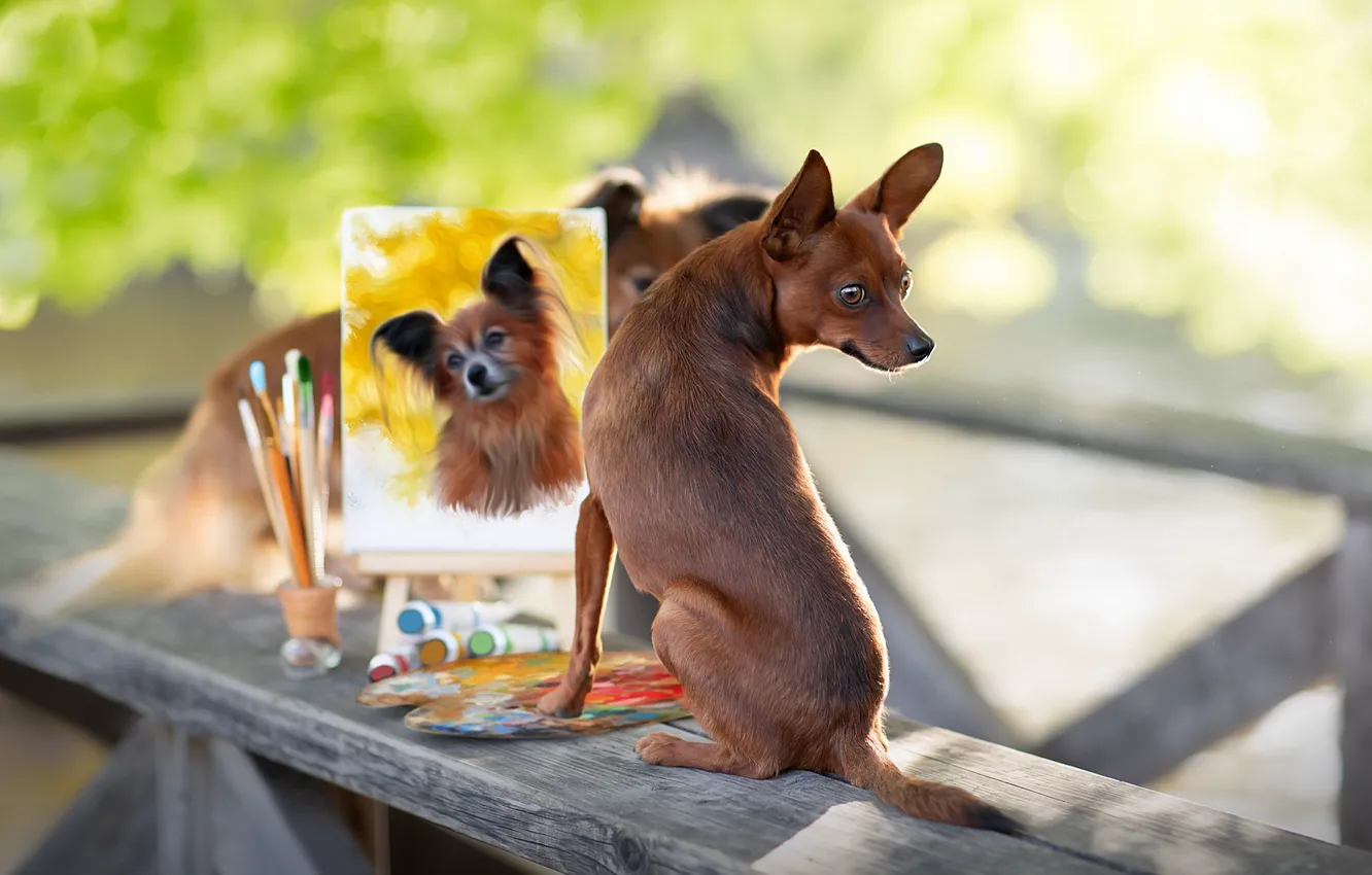 Wallpaper figure, dog, picture for mobile and desktop, section собаки ...