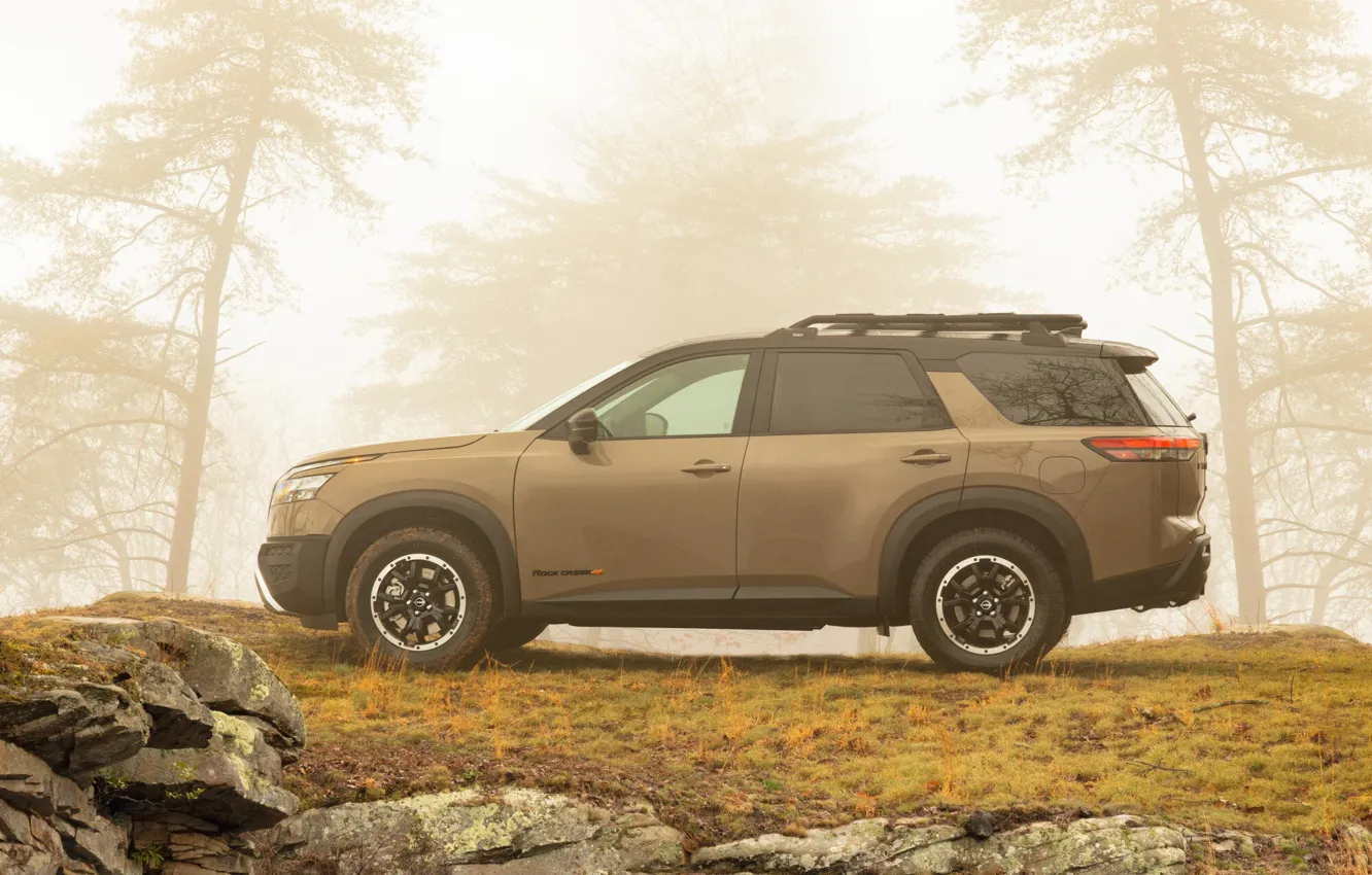 Wallpaper forest, fog, haze, side view, Rock Creek, early morning ...