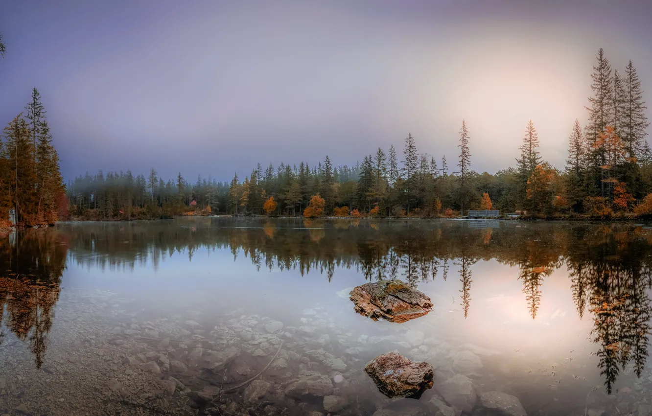 Wallpaper autumn, forest, lake for mobile and desktop, section природа ...