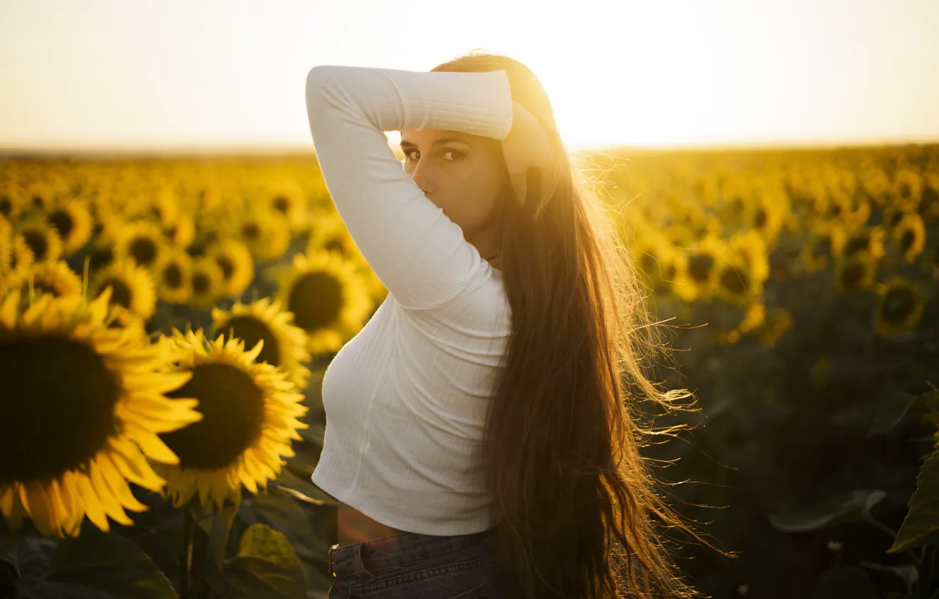 Wallpaper Field Summer The Sky Look Girl Light Sunflowers Sunset
