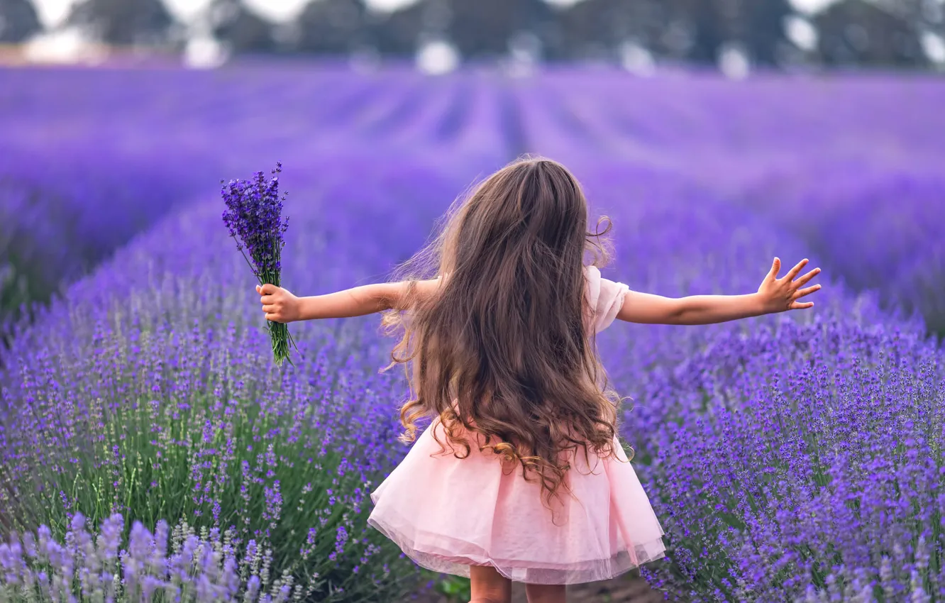 Wallpaper field, summer, flowers, nature, pose, mood, bouquet, dress ...
