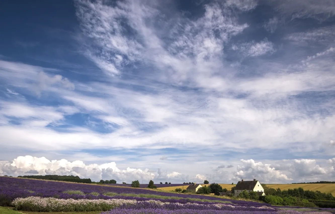 Wallpaper wallpaper, style, photo for mobile and desktop, section ...