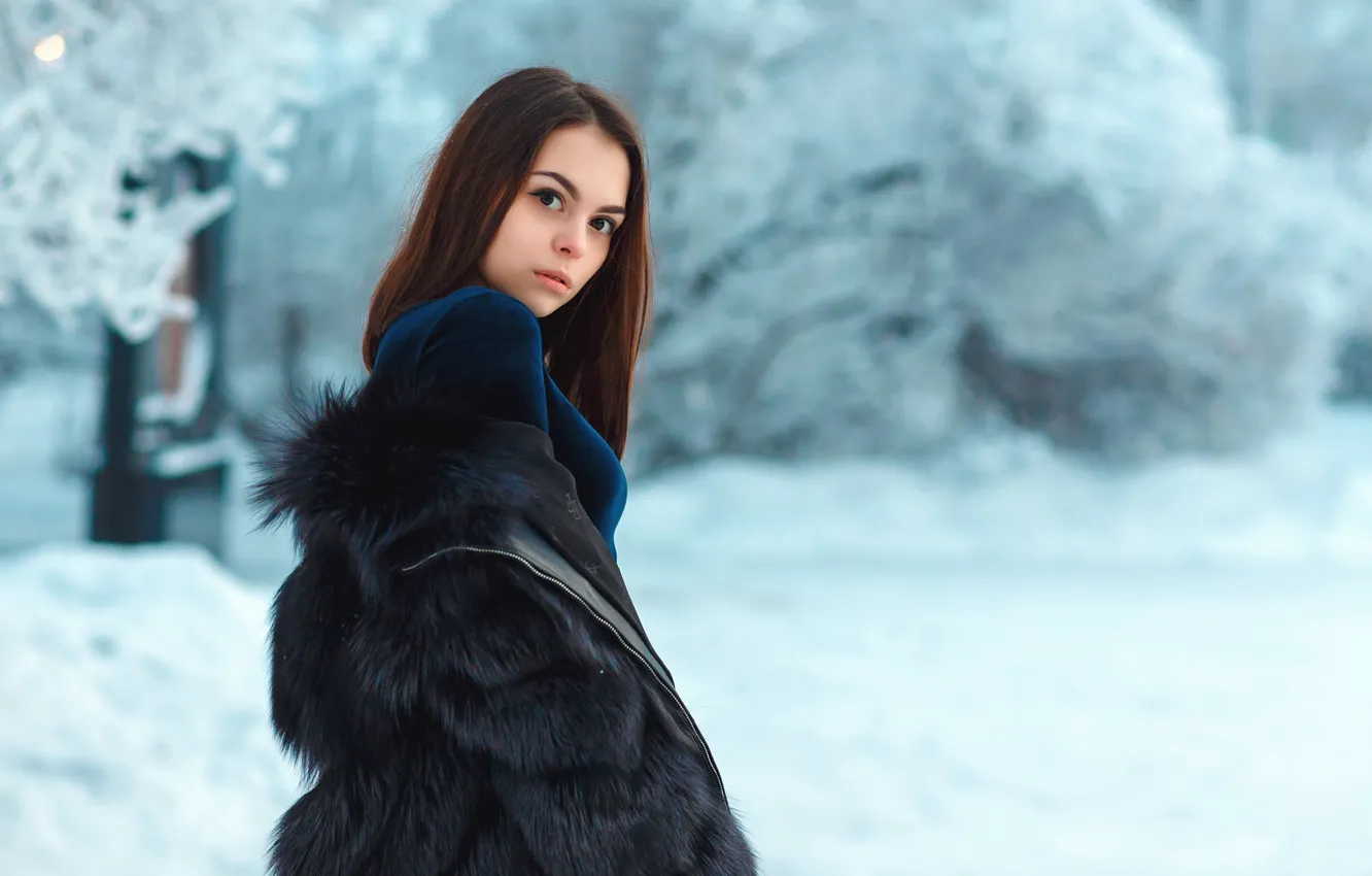 Wallpaper chest, coat, sponge, Winter walk, Alexey Pleshkov for mobile and desktop, section ...