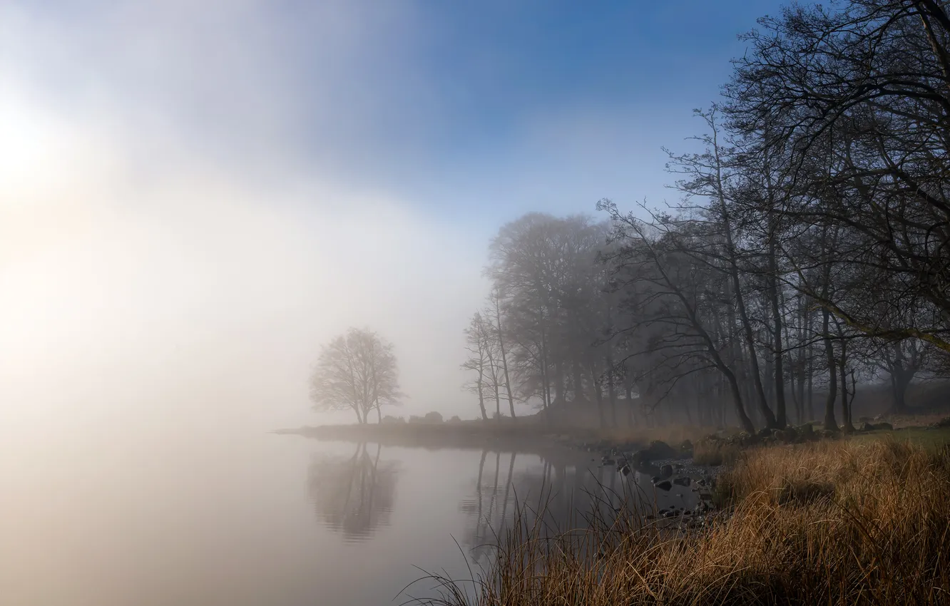 Wallpaper nature, fog, shore for mobile and desktop, section природа ...