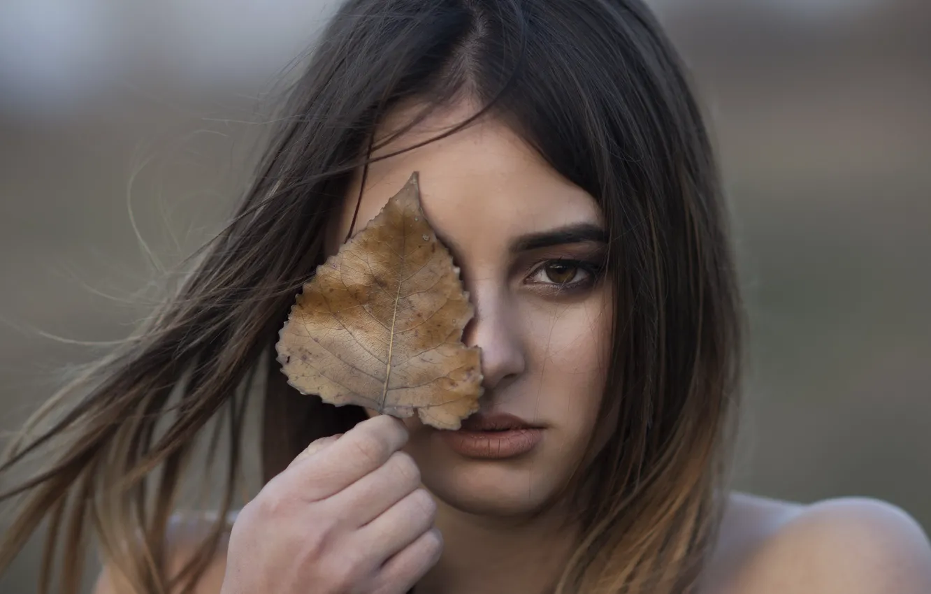 Wallpaper girl, sheet, portrait images for desktop, section девушки ...