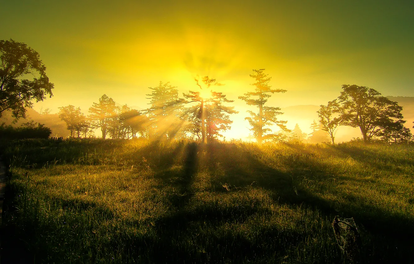 Wallpaper the sun, light, nature images for desktop, section природа ...