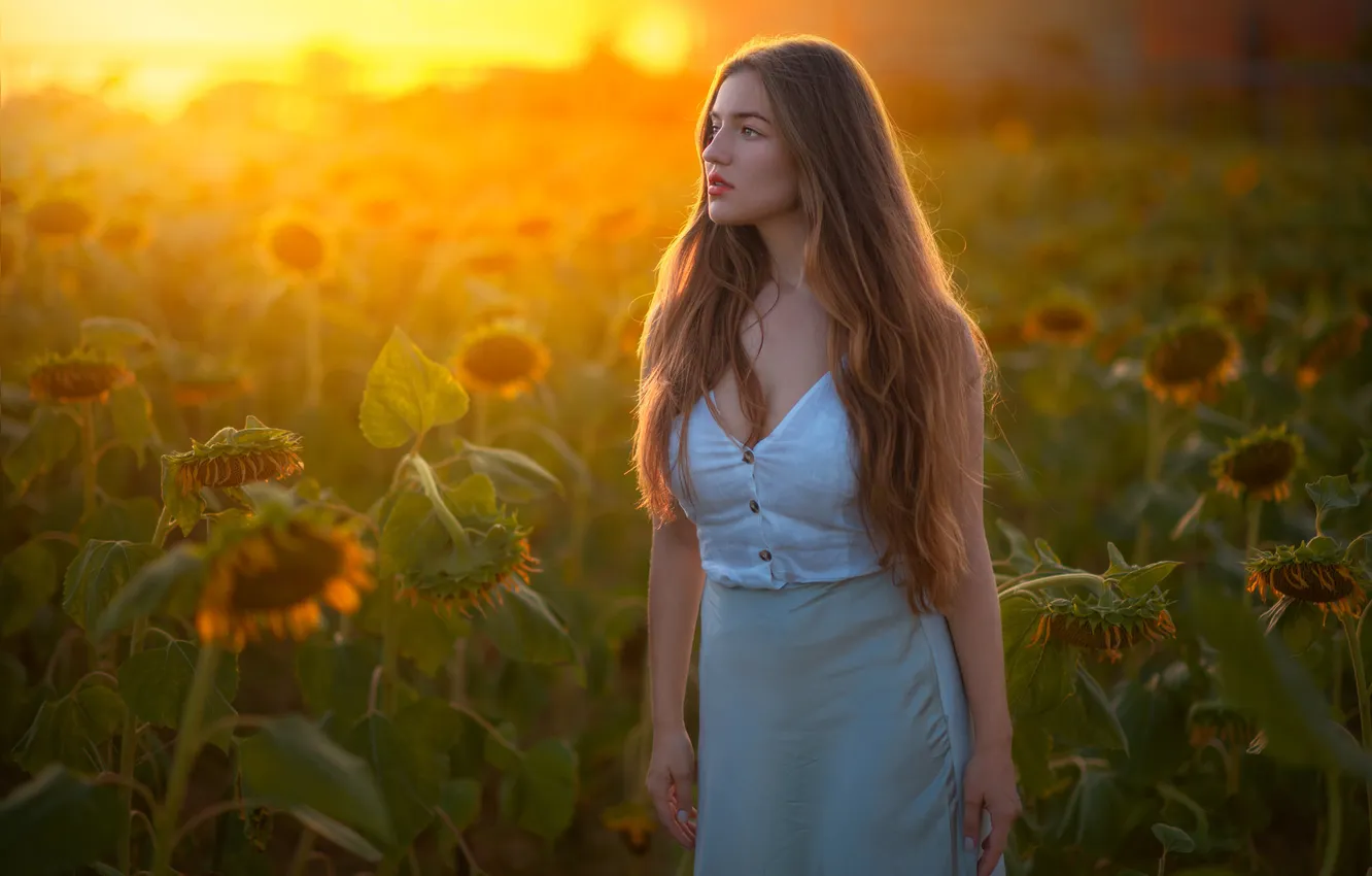 Wallpaper field, summer, the sky, look, girl, sunflowers, pose, skirt ...