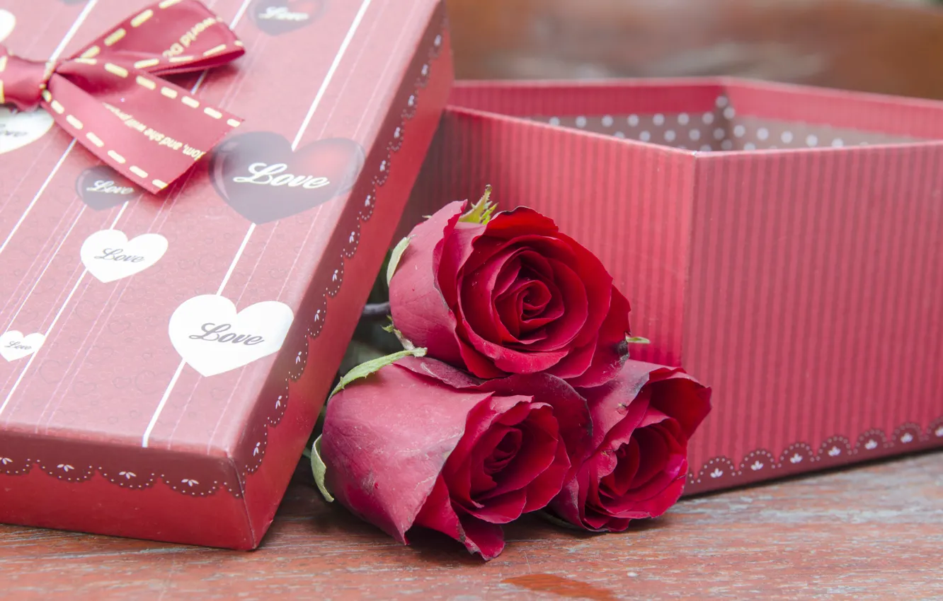 Wallpaper flowers, gift, roses, pink, flowers, romantic, gift, roses ...