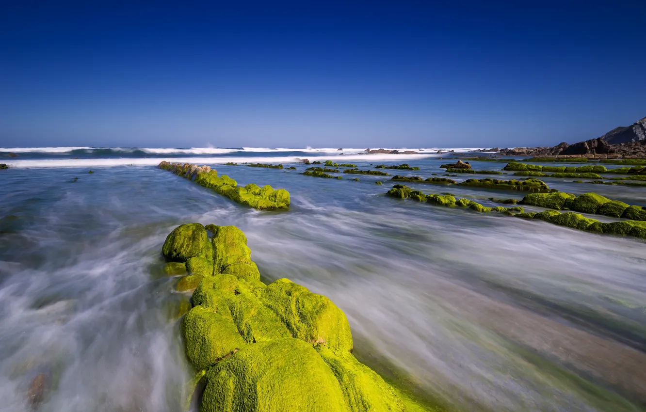 Wallpaper sea, rocks, shore, moss for mobile and desktop, section ...