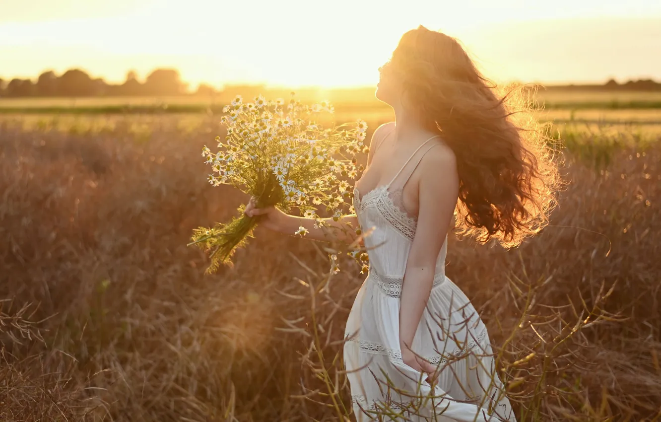 Wallpaper Field Chest Summer The Sky Grass Girl The Sun Rays For