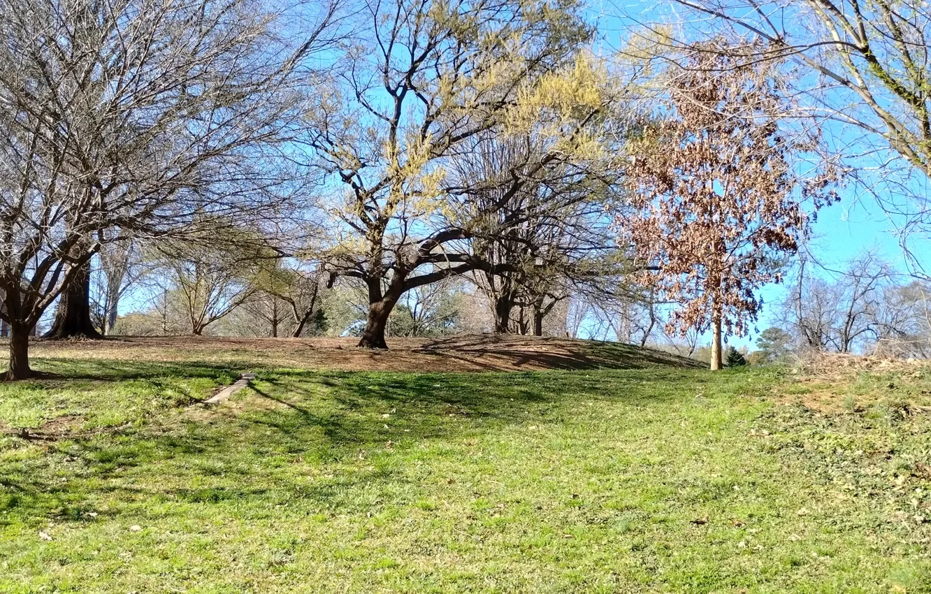 Wallpaper Parks, Raleigh, Fred Fletcher Park images for desktop ...