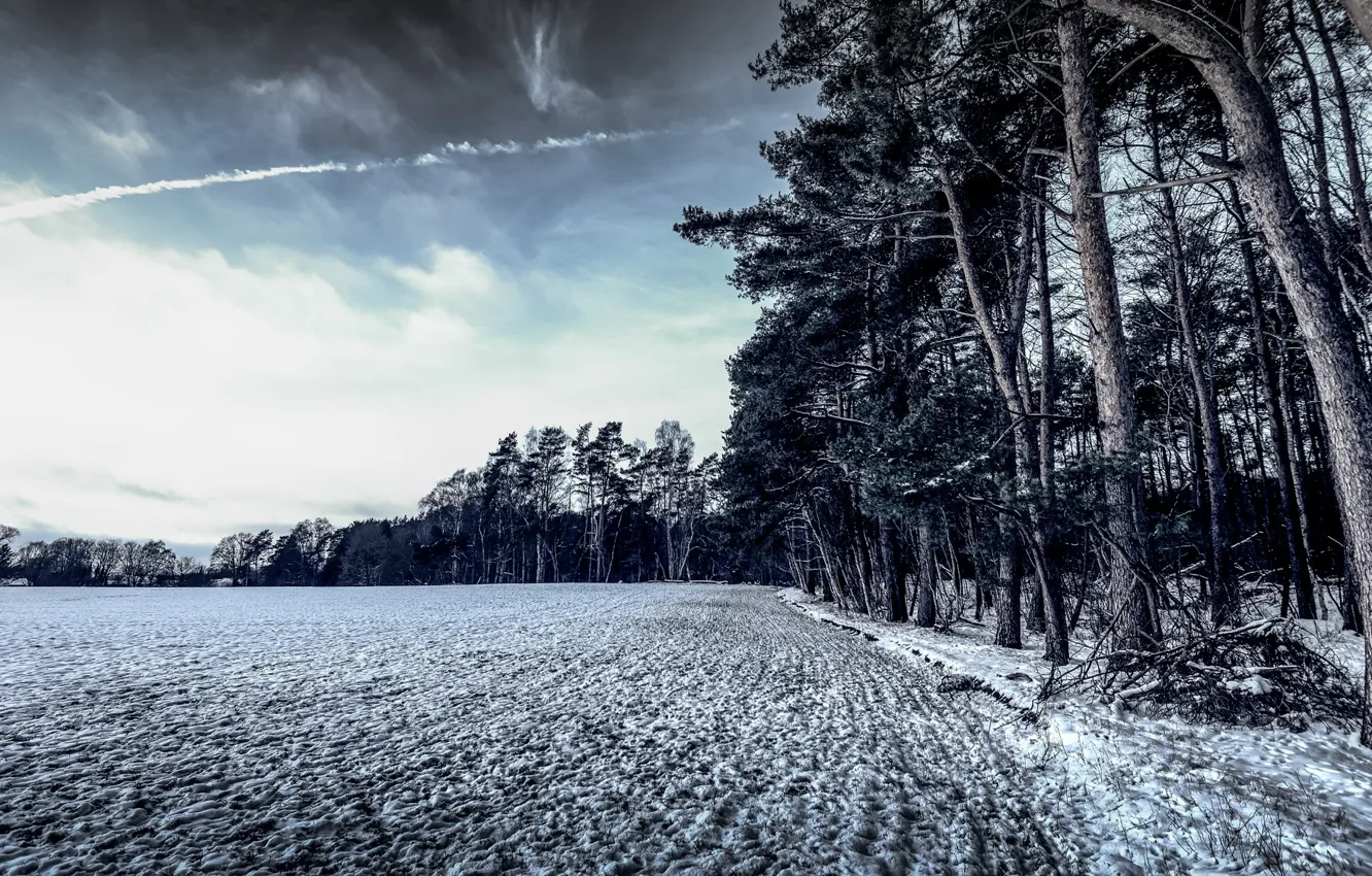 Wallpaper winter, field, forest for mobile and desktop, section природа ...