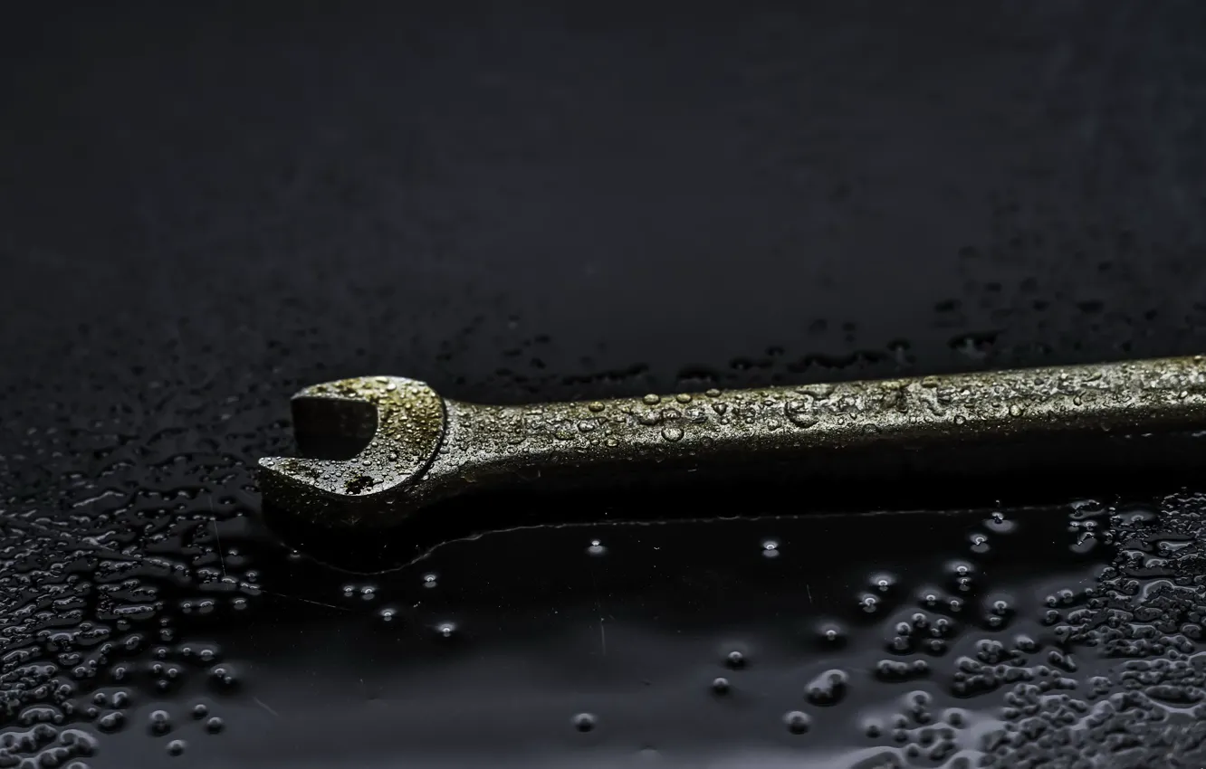 Wallpaper macro, background, wrench for mobile and desktop, section ...