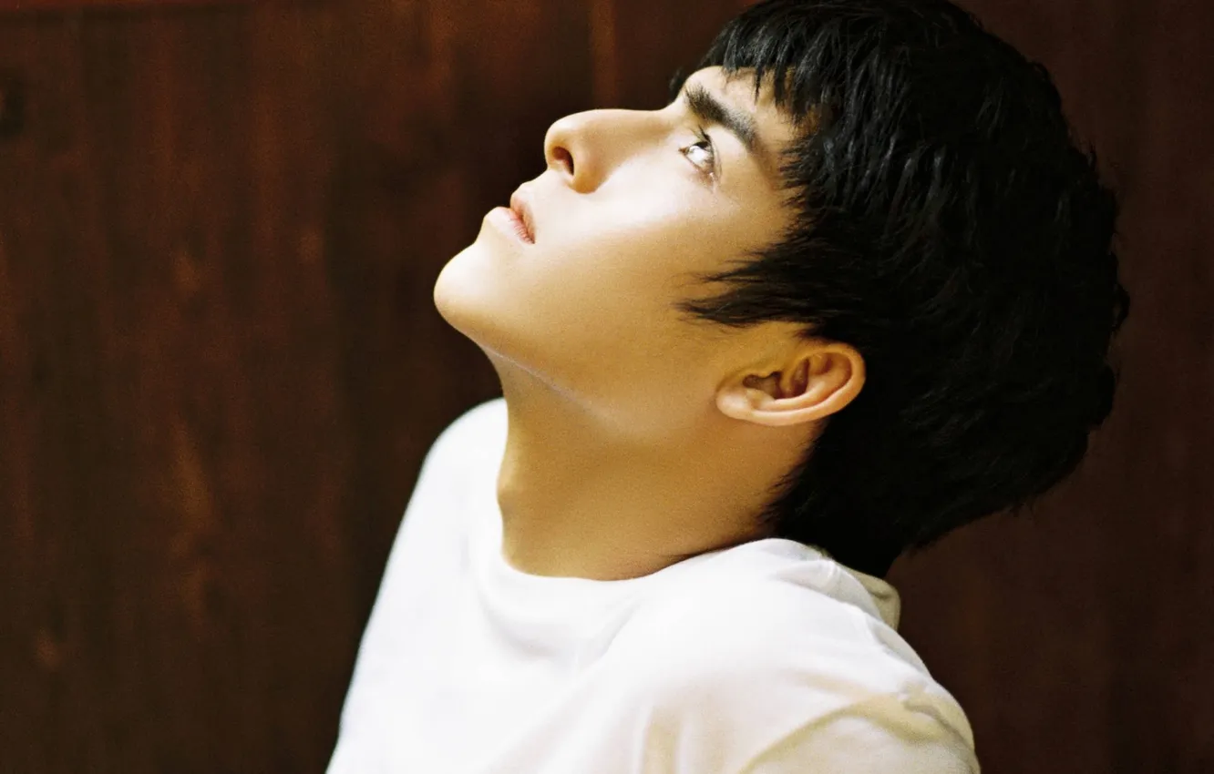 Wallpaper profile, brown background, Wang Hao Xuan, Wang Hao Xuan ...