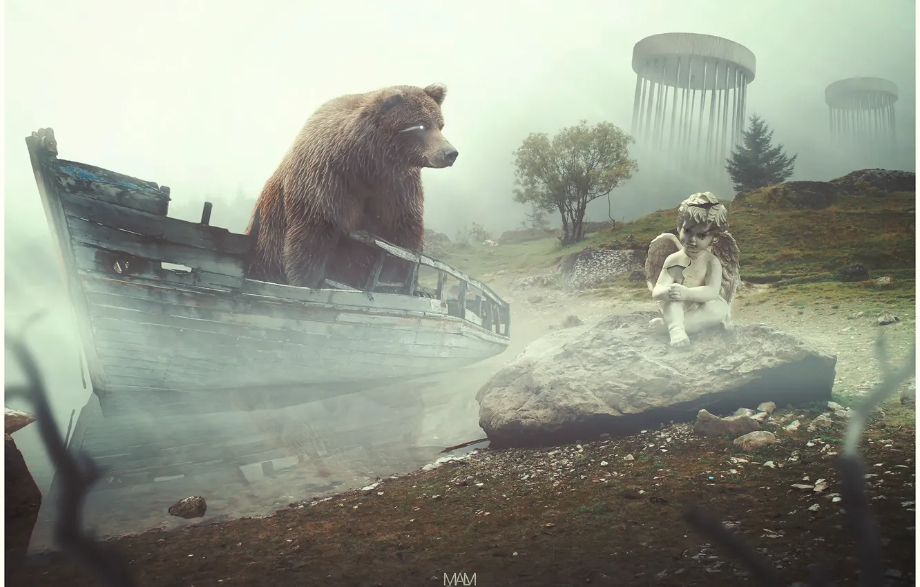 Wallpaper shore, boat, bear, pond, BEARS AROUND US for mobile and ...