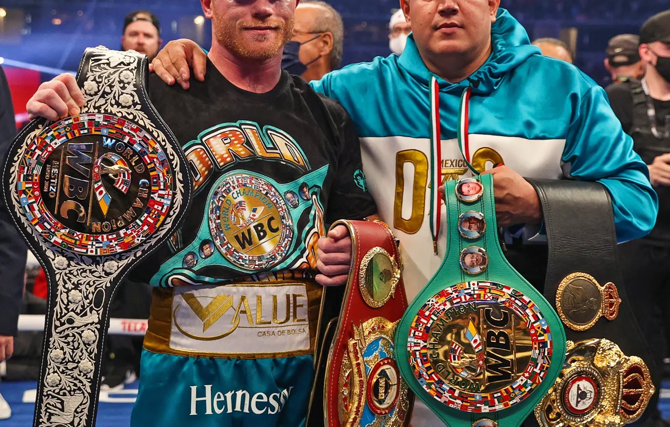 Wallpaper IBF, WBA, Canelo Alvarez, Canelo Alvarez, WBC boxing, IBO, absolute champion for ...