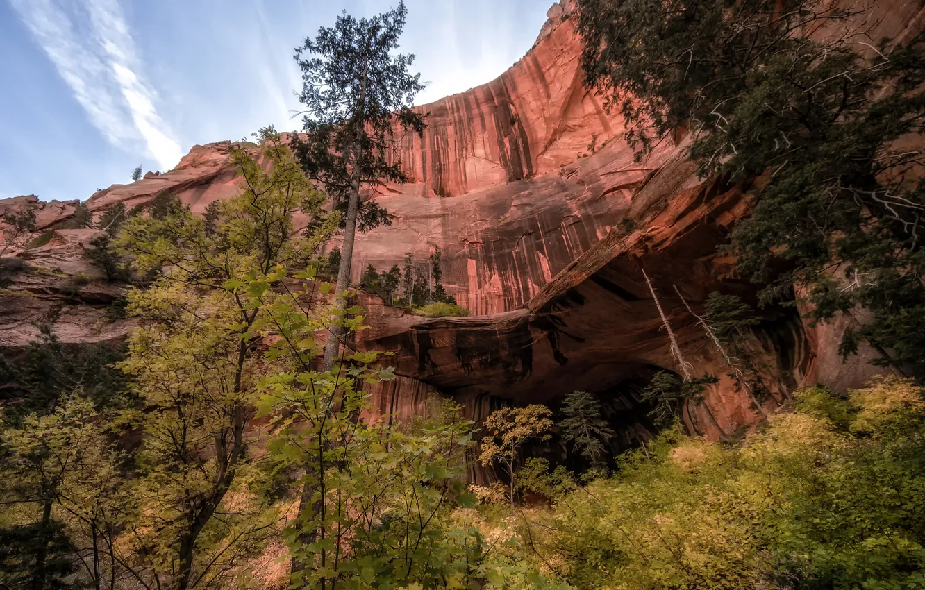 Wallpaper the sky, trees, rocks, cave for mobile and desktop, section природа, resolution ...