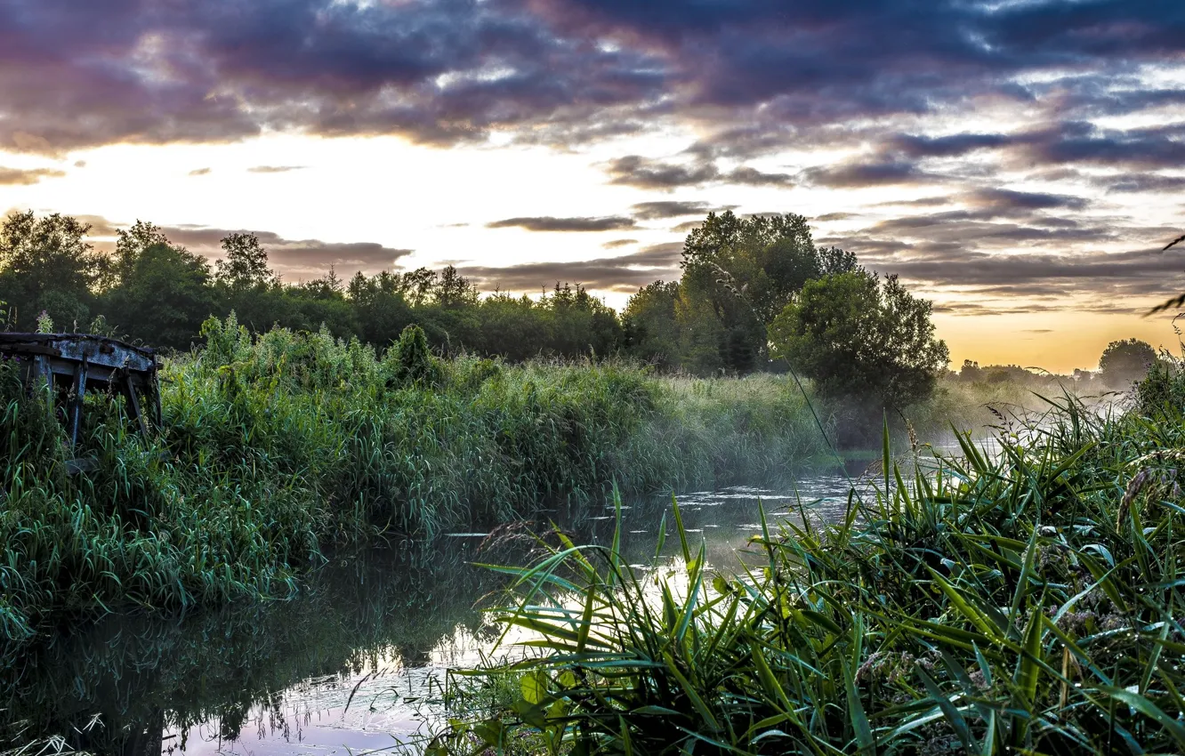 Wallpaper The sky, Water, Grass, Channel for mobile and desktop ...