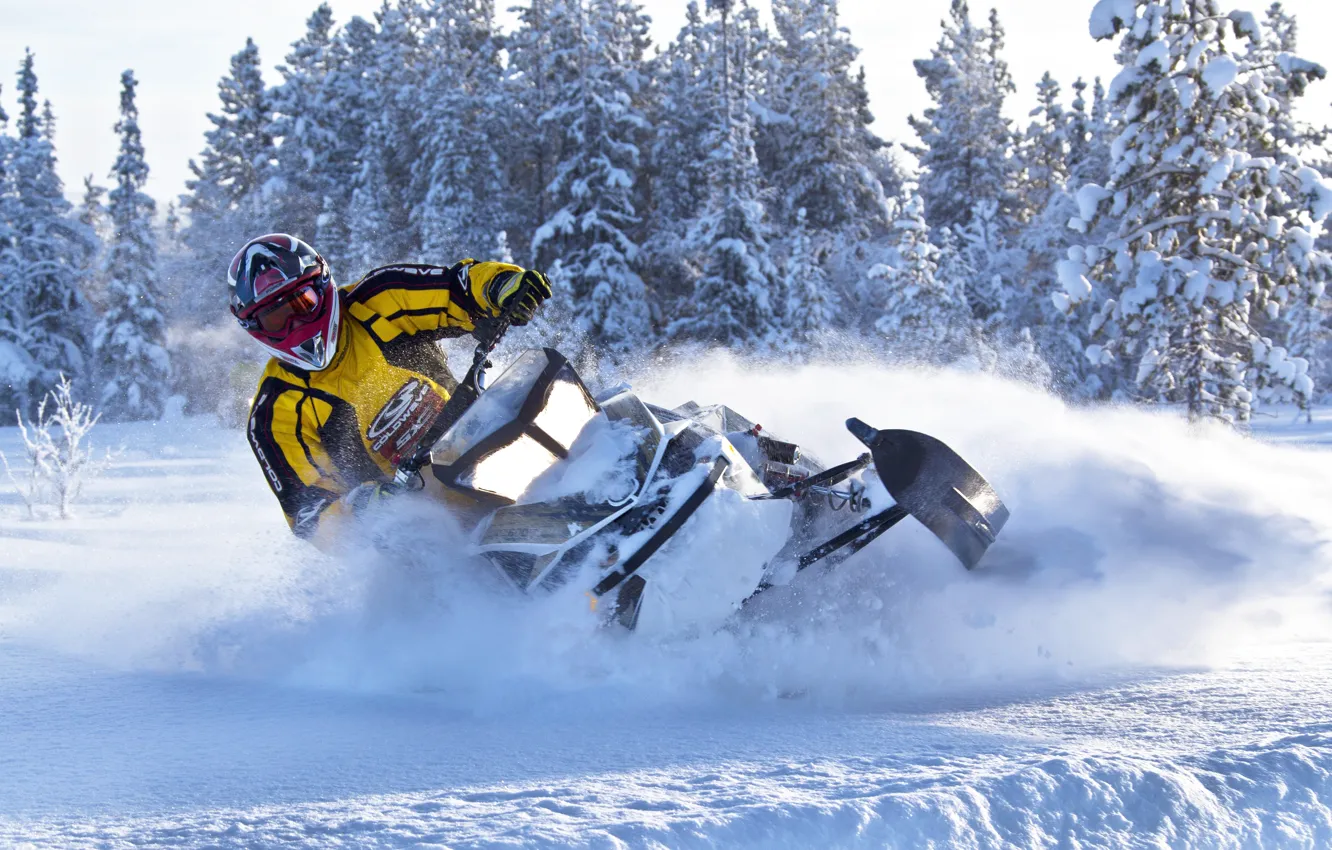 Wallpaper Trees, Snow, Snowmobile, Snowmobile, Ski-Doo for mobile and ...
