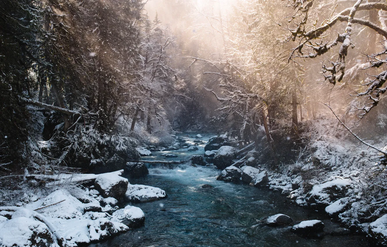 Wallpaper Nature, Wood, Winter, Water, Ice, River, Rocks, Trees for ...