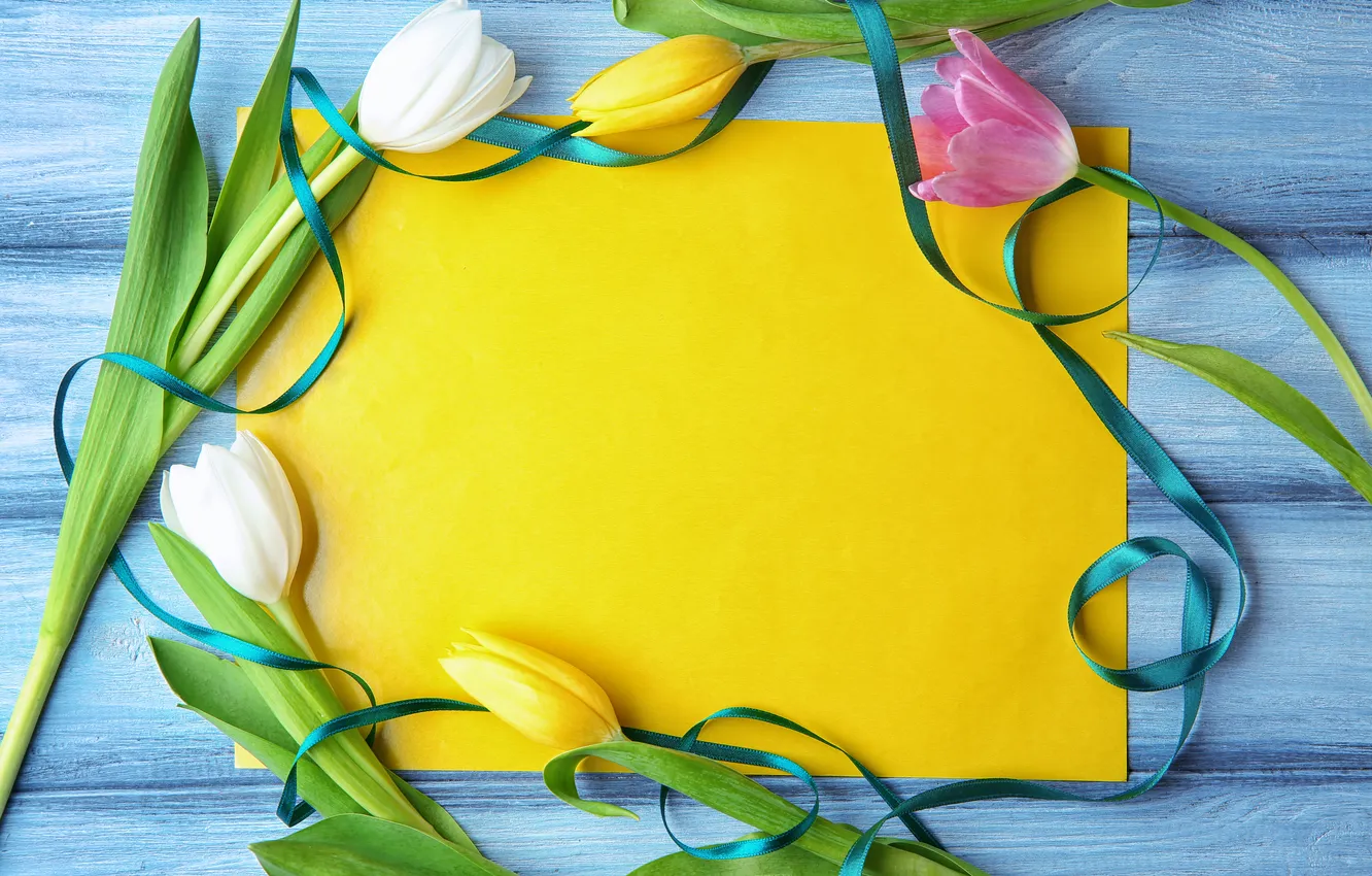 Wallpaper flowers, colorful, tulips, flowers, tulips, postcard, spring, card for mobile and ...