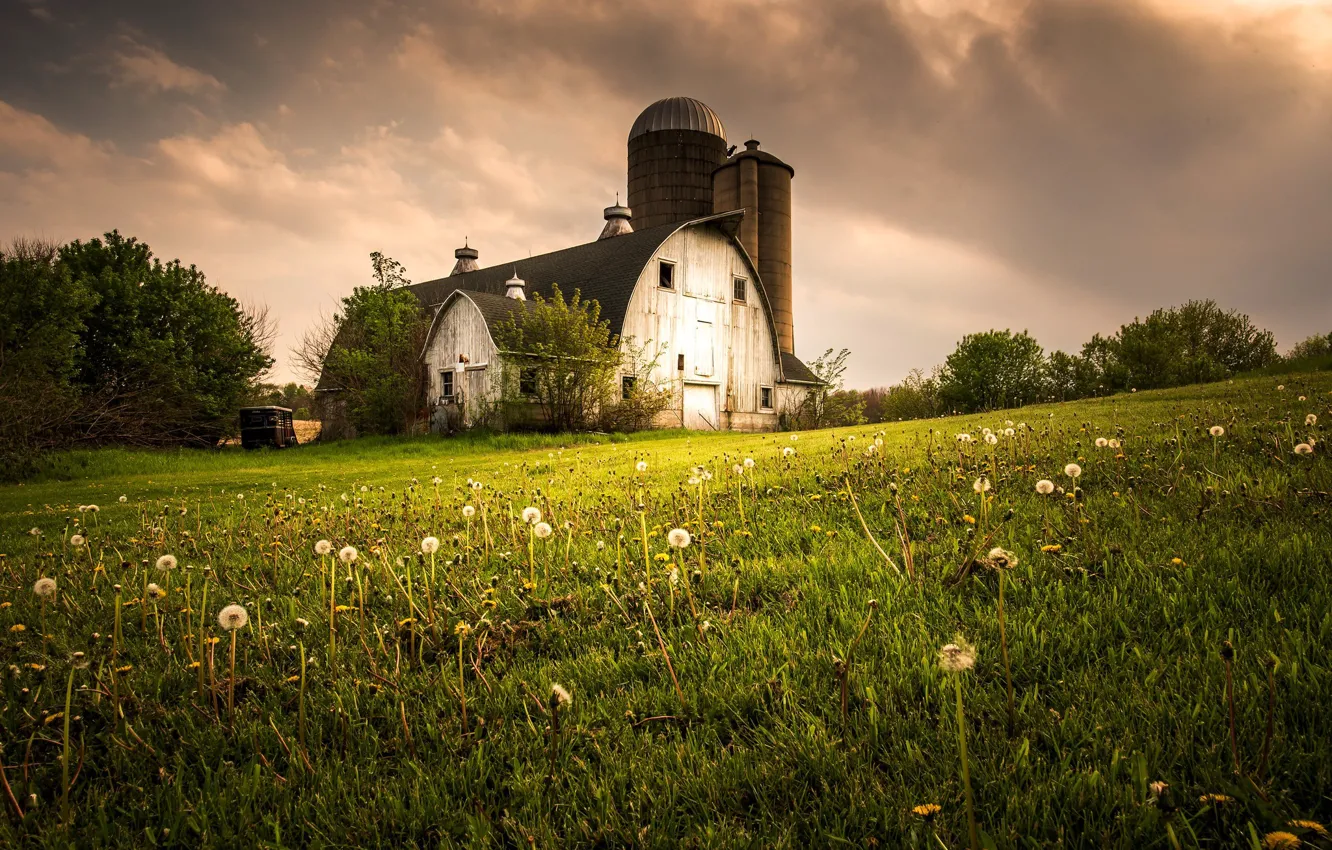 Wallpaper summer, nature, Barn for mobile and desktop, section природа ...