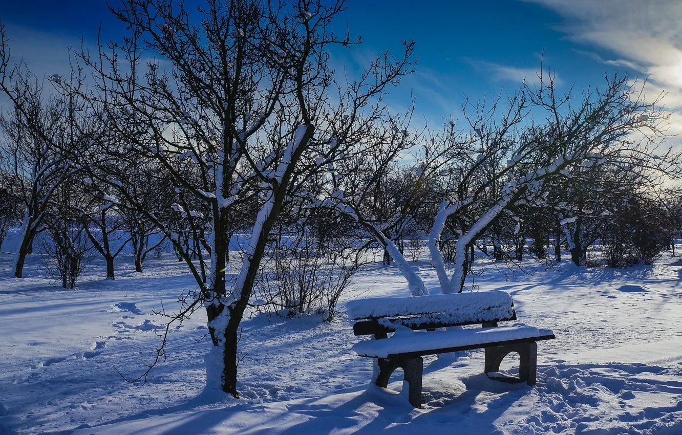 Wallpaper winter, snow, bench for mobile and desktop, section пейзажи ...