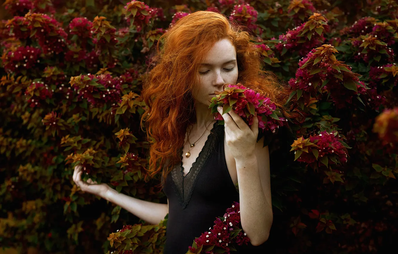Wallpaper girl, pose, hands, red, redhead, the bushes, bougainvillea ...