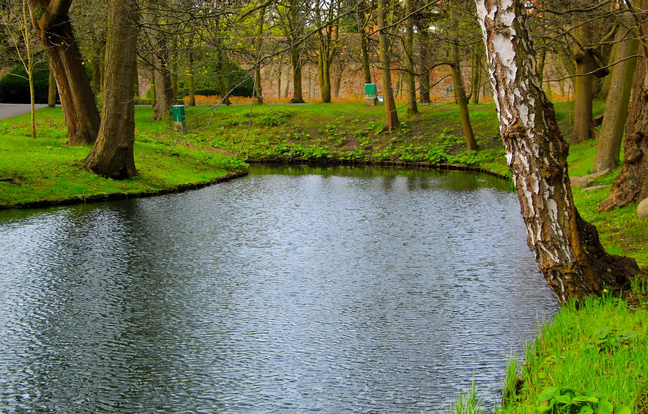 Wallpaper water, park, lake, pond for mobile and desktop, section ...