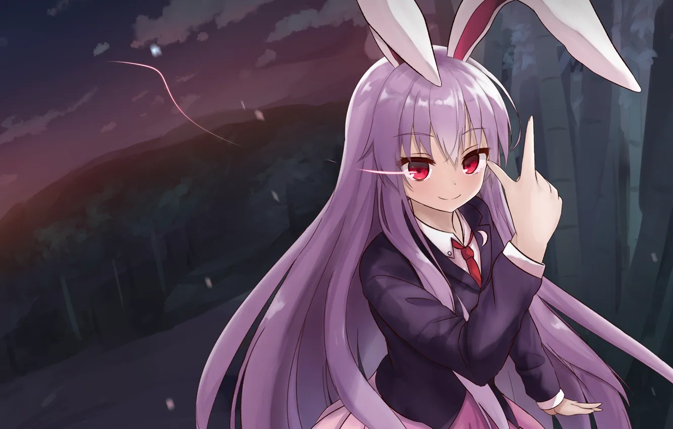 Wallpaper girl, night, rabbit, Touhou for mobile and desktop, section ...