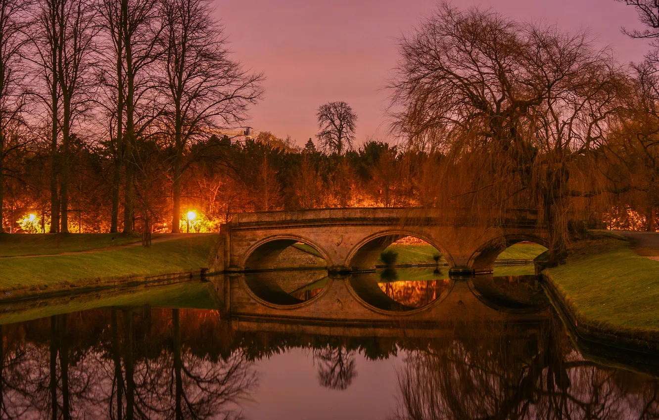 Wallpaper autumn, trees, bridge, lights, reflection, arch, pond ...