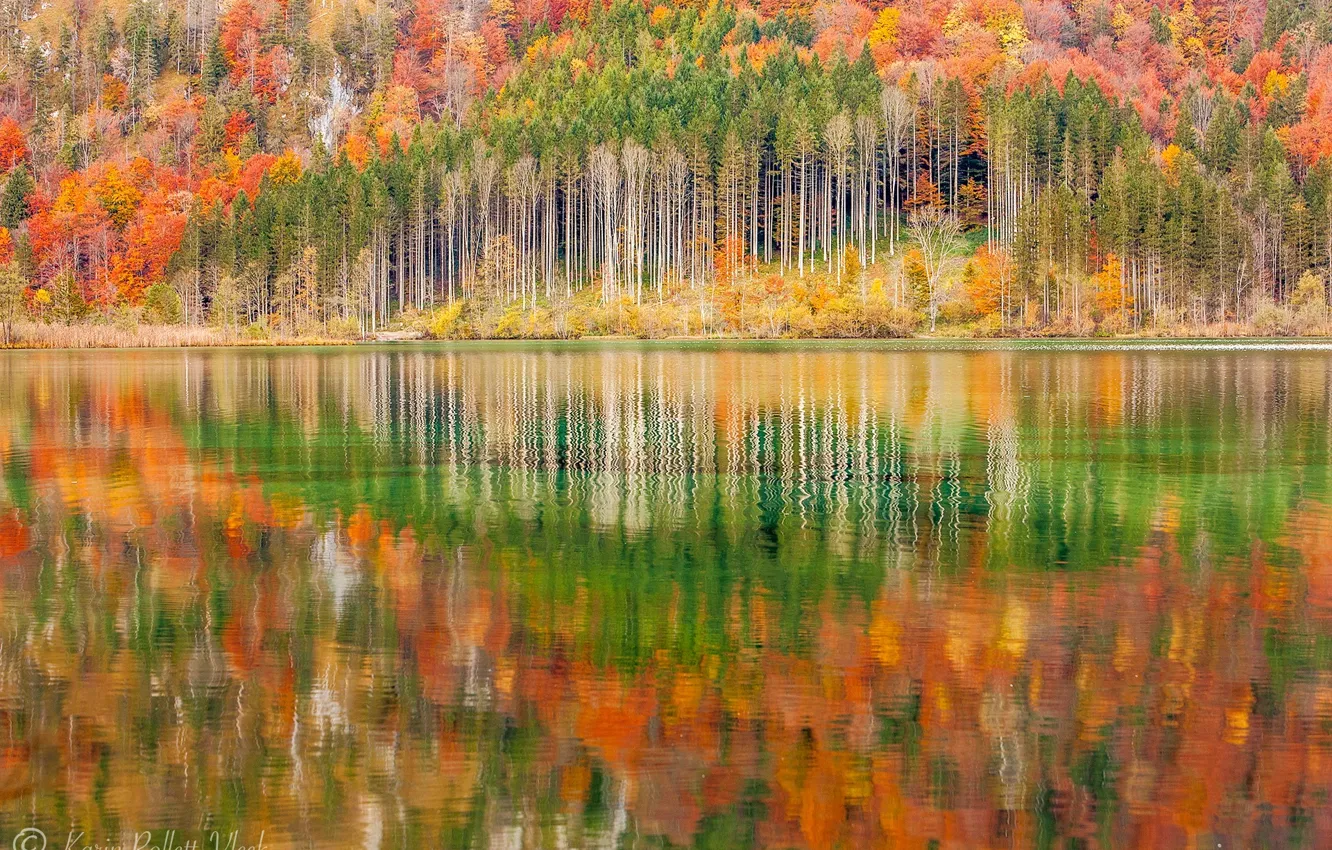 Wallpaper autumn, forest, landscape, nature, lake, reflection for mobile and desktop, section ...