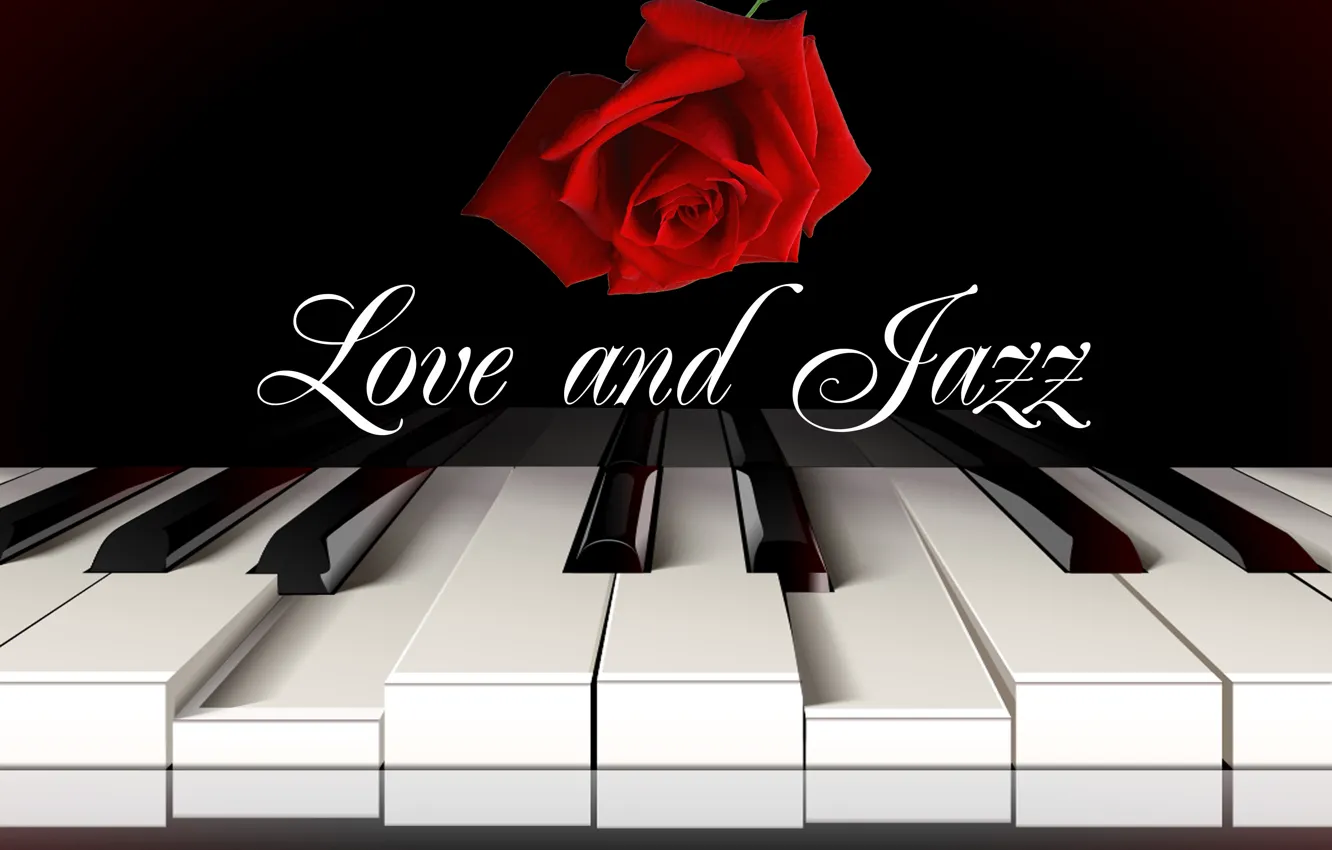 Wallpaper rose, Music, flower, plan, instrument musical for mobile and ...