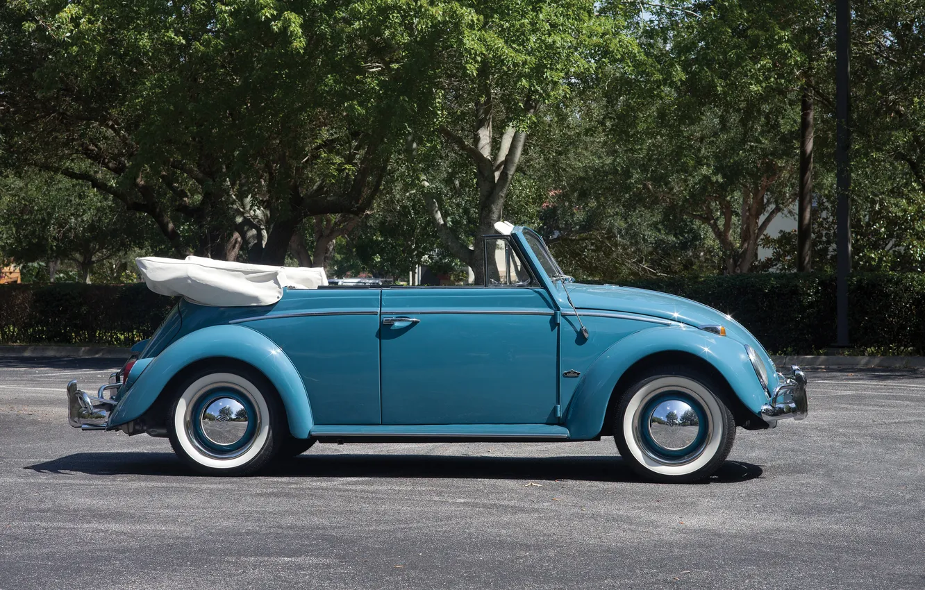 Wallpaper Volkswagen, Beetle, retro cars, Cabriolet, 1963, Retro Cars ...