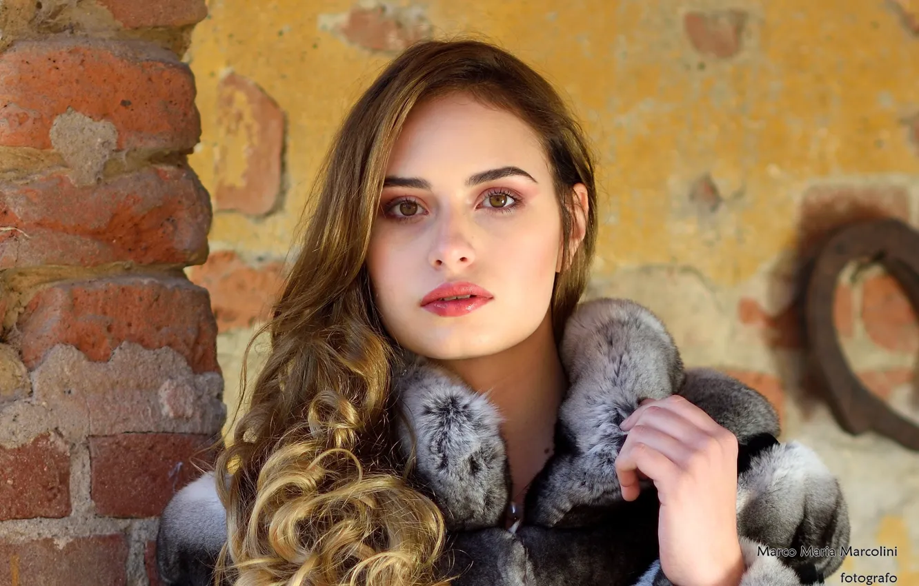 Wallpaper face, model, portrait, fur, brown eyes, Marco Maria Marcolini ...
