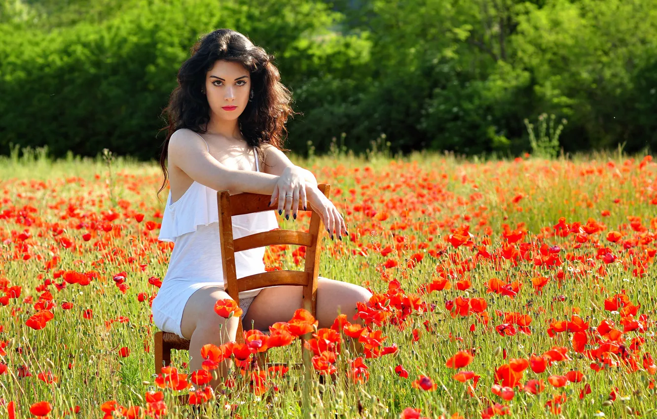 Wallpaper Field Girl Flowers Pose Maki Chair Brown Hair For