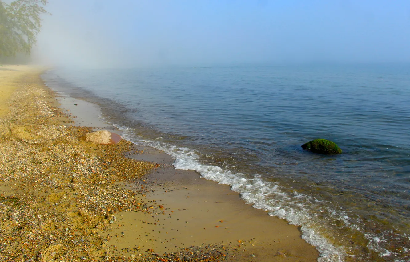 Wallpaper beach, sea, water, fog, sand for mobile and desktop, section ...