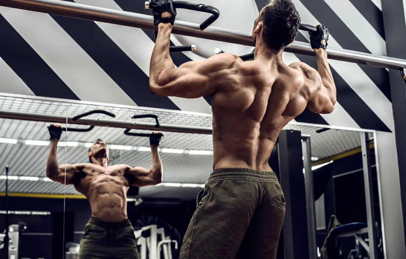 Wallpaper reflection, back, Muscle, muscle, back, the horizontal bar ...