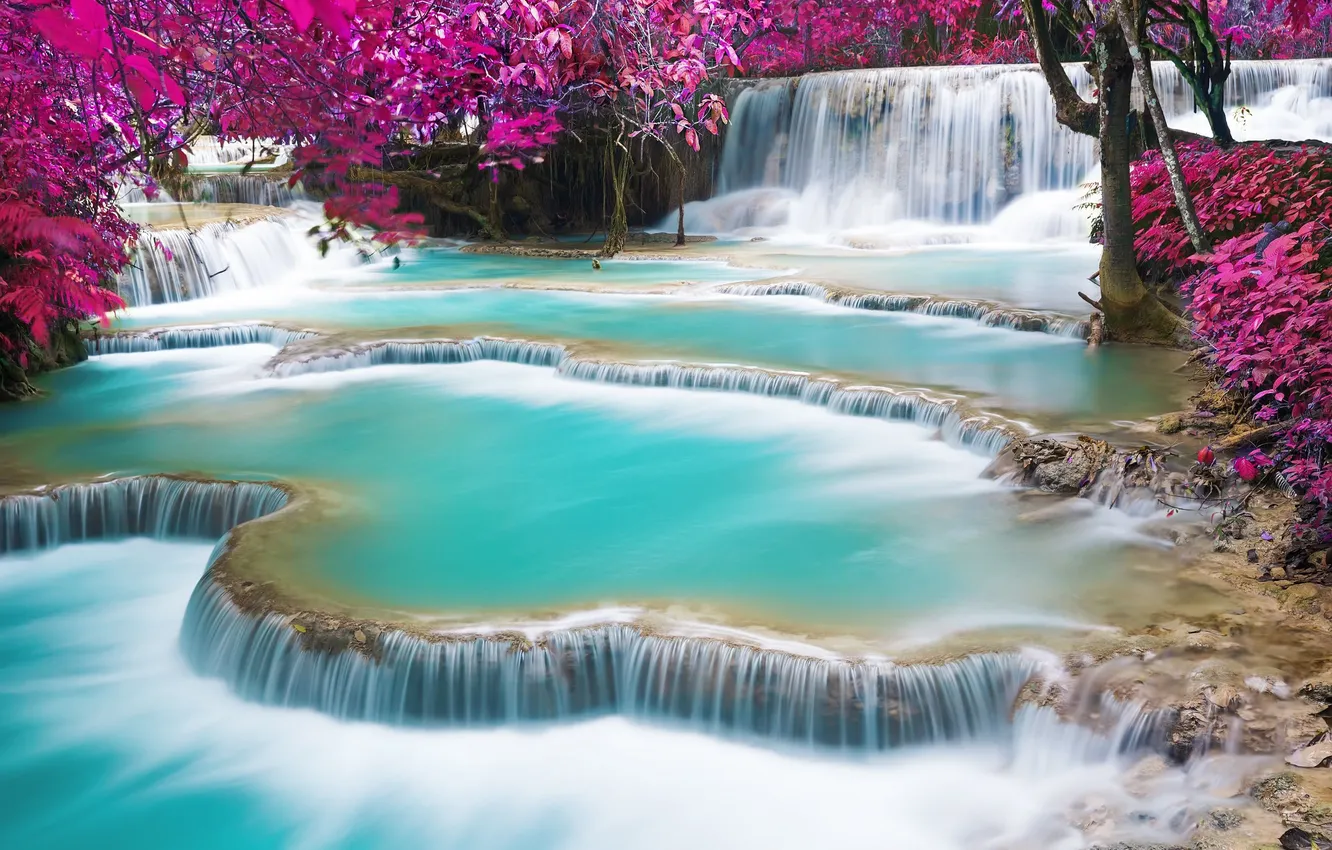 Wallpaper trees, branches, nature, rocks, shore, foliage, waterfall ...