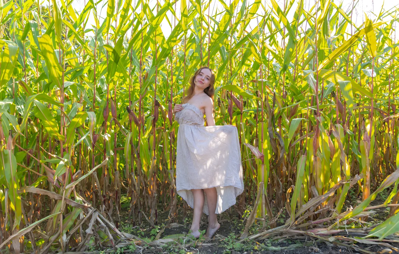 Wallpaper long hair, field, nature, model, sexy woman, countryside ...