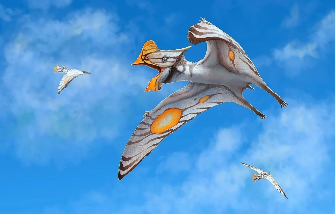 Wallpaper clouds, sky blue, dinosaur, extinction, Flying animals for ...