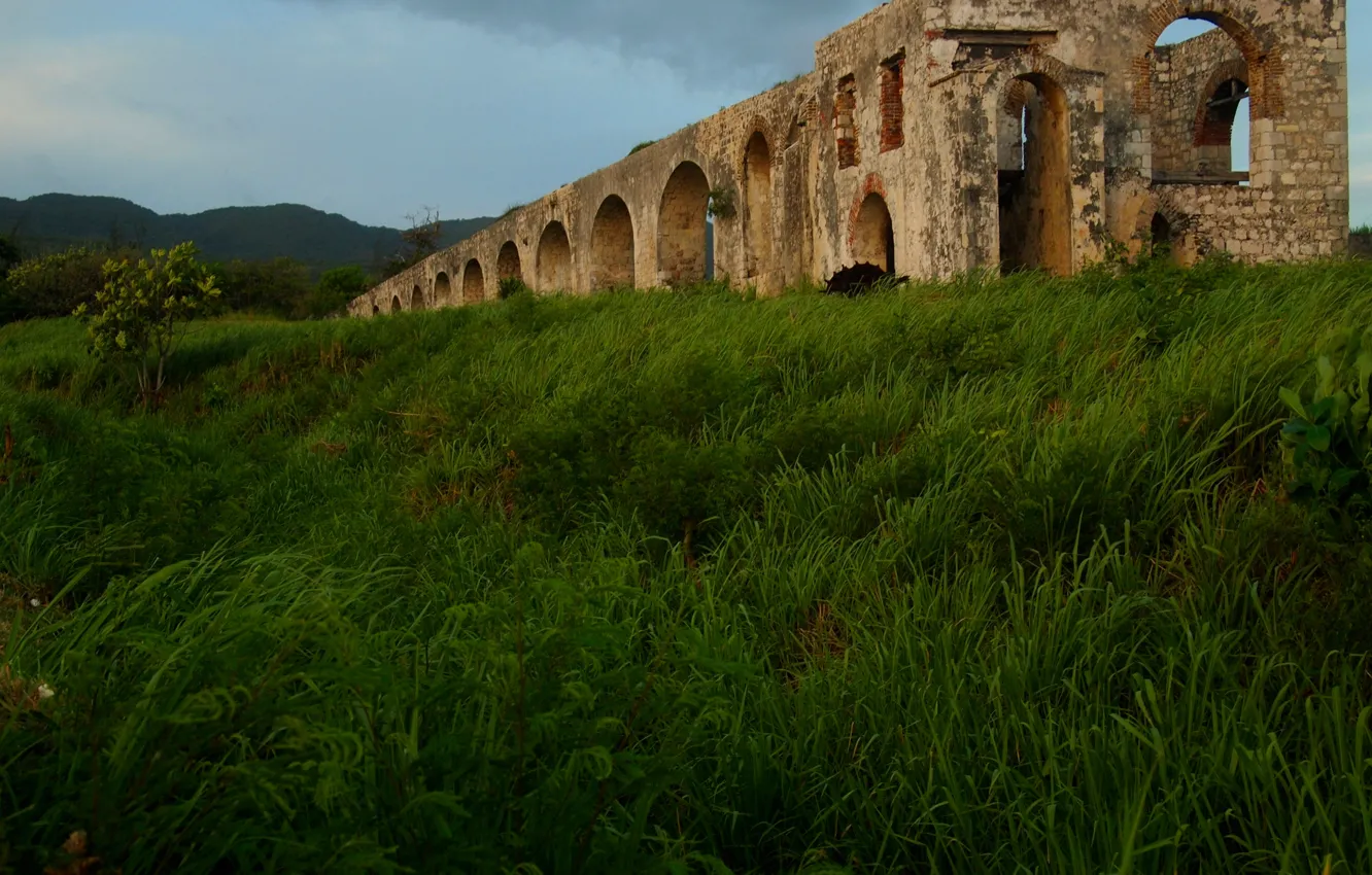 Wallpaper grass, trees, landscape, ruins, grass, Jamaica, trees ...