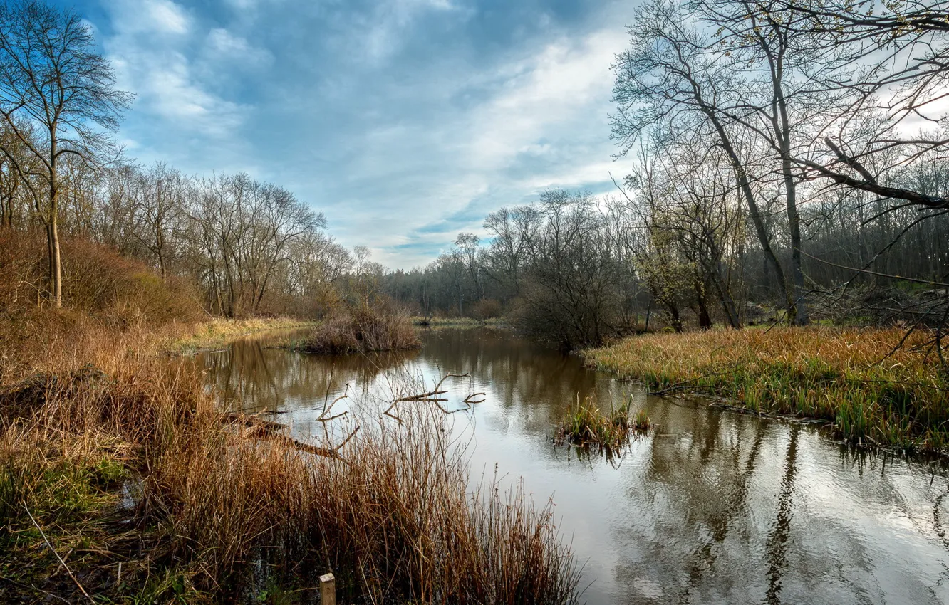 Wallpaper nature, river, spring for mobile and desktop, section природа ...