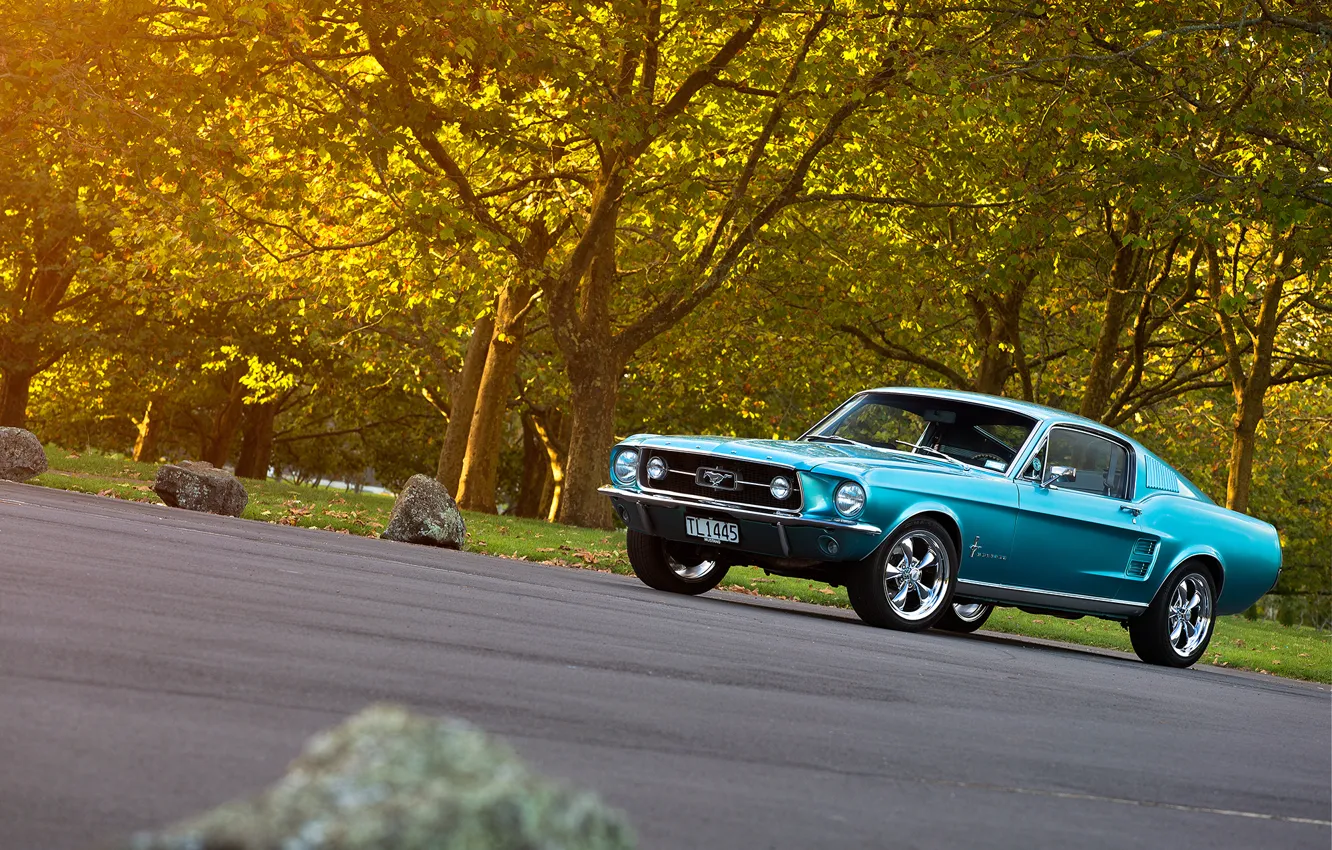 Wallpaper road, forest, Mustang, Ford, 1967, Fastback, side for mobile ...