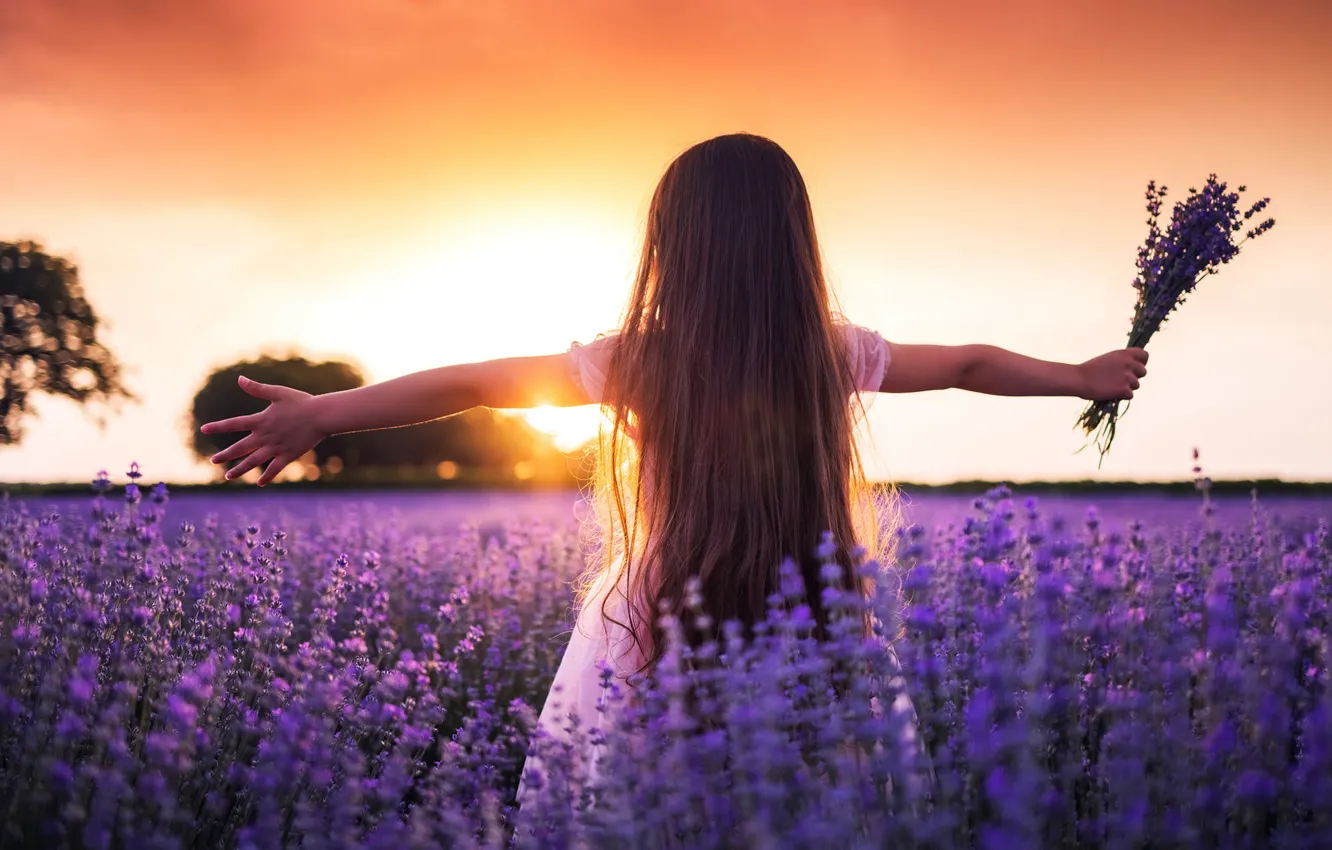 Wallpaper field, summer, sunset, flowers, nature, pose, mood, bouquet ...