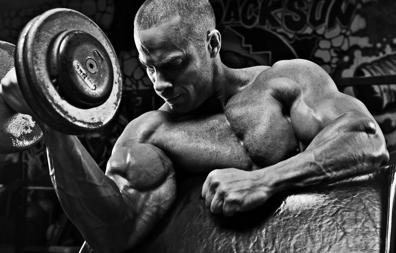 Wallpaper pose, Muscle, muscle, pose, trainer, training, dumbbells ...