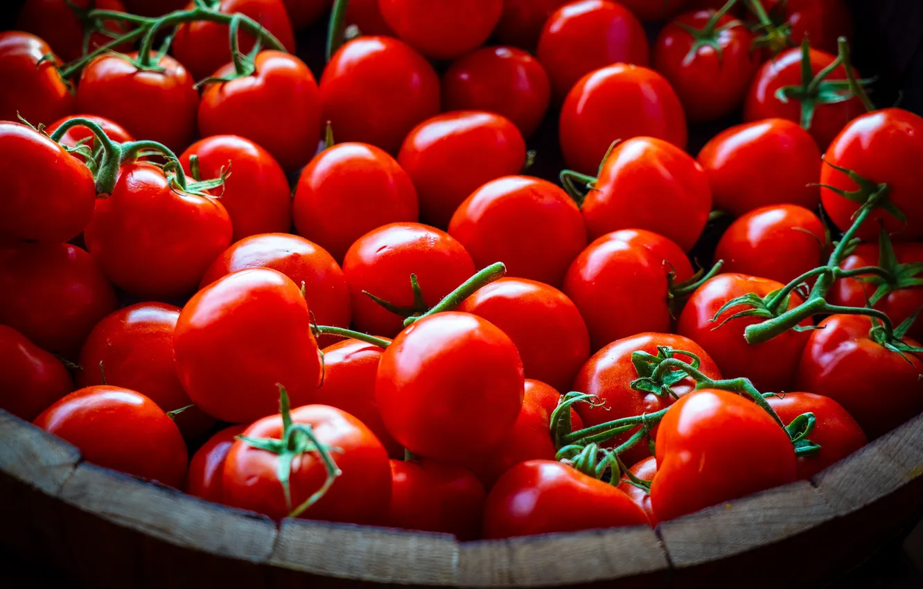 Wallpaper red, vegetables, tomatoes, a lot, tomatoes for mobile and ...